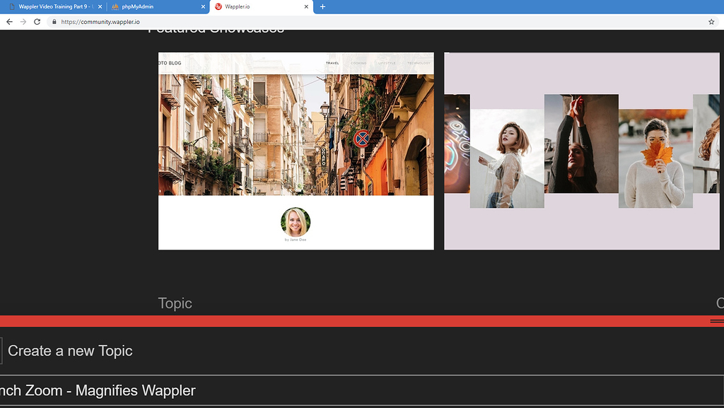 Pinch Zoom - Magnifies Wappler - Bugs - Wappler Community