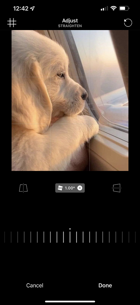 Cropping and Centering images before upload - Need Help - Wappler Community