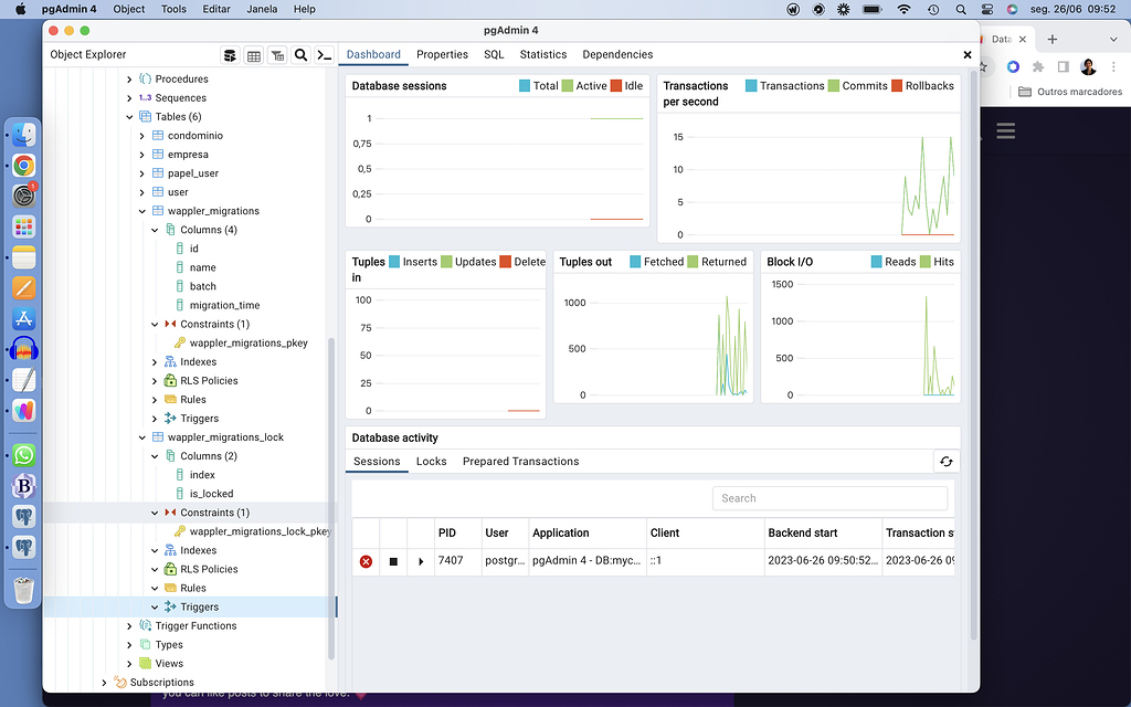 Files Missing In Database Manager Need Help Wappler Community