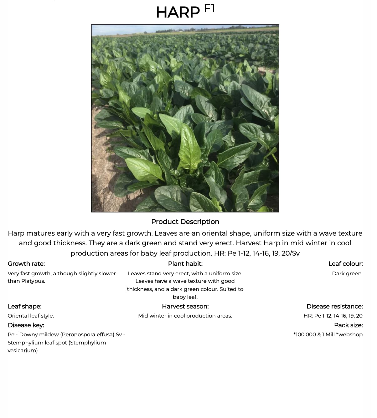 URL query parameters on a different layout are not being parsed ...