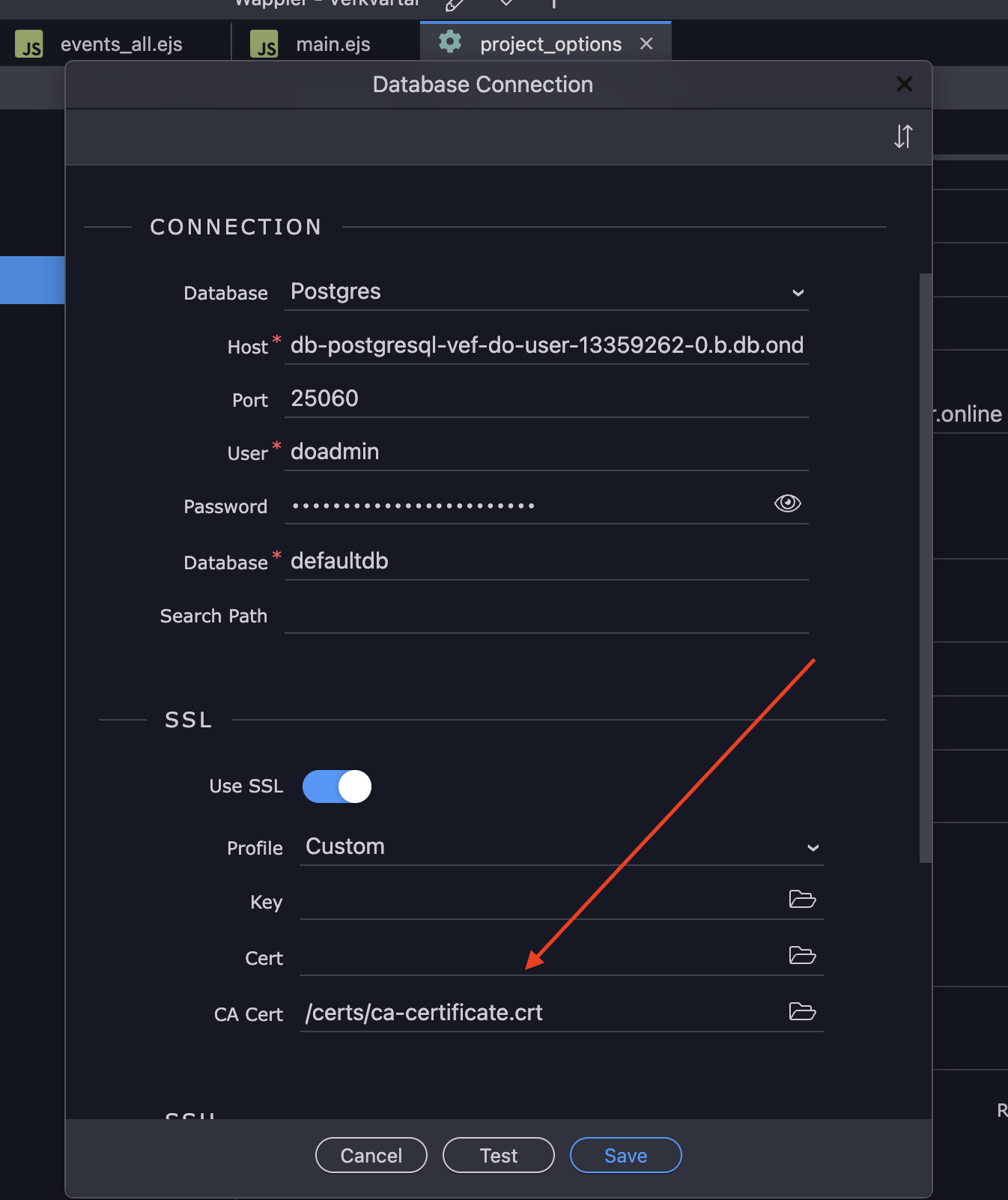 Error Cloud DataBases - Bugs - Wappler Community