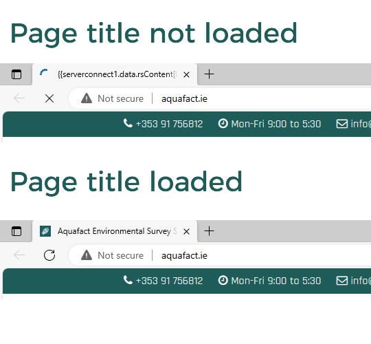 Page titles taking a while to load - Need Help - Wappler Community